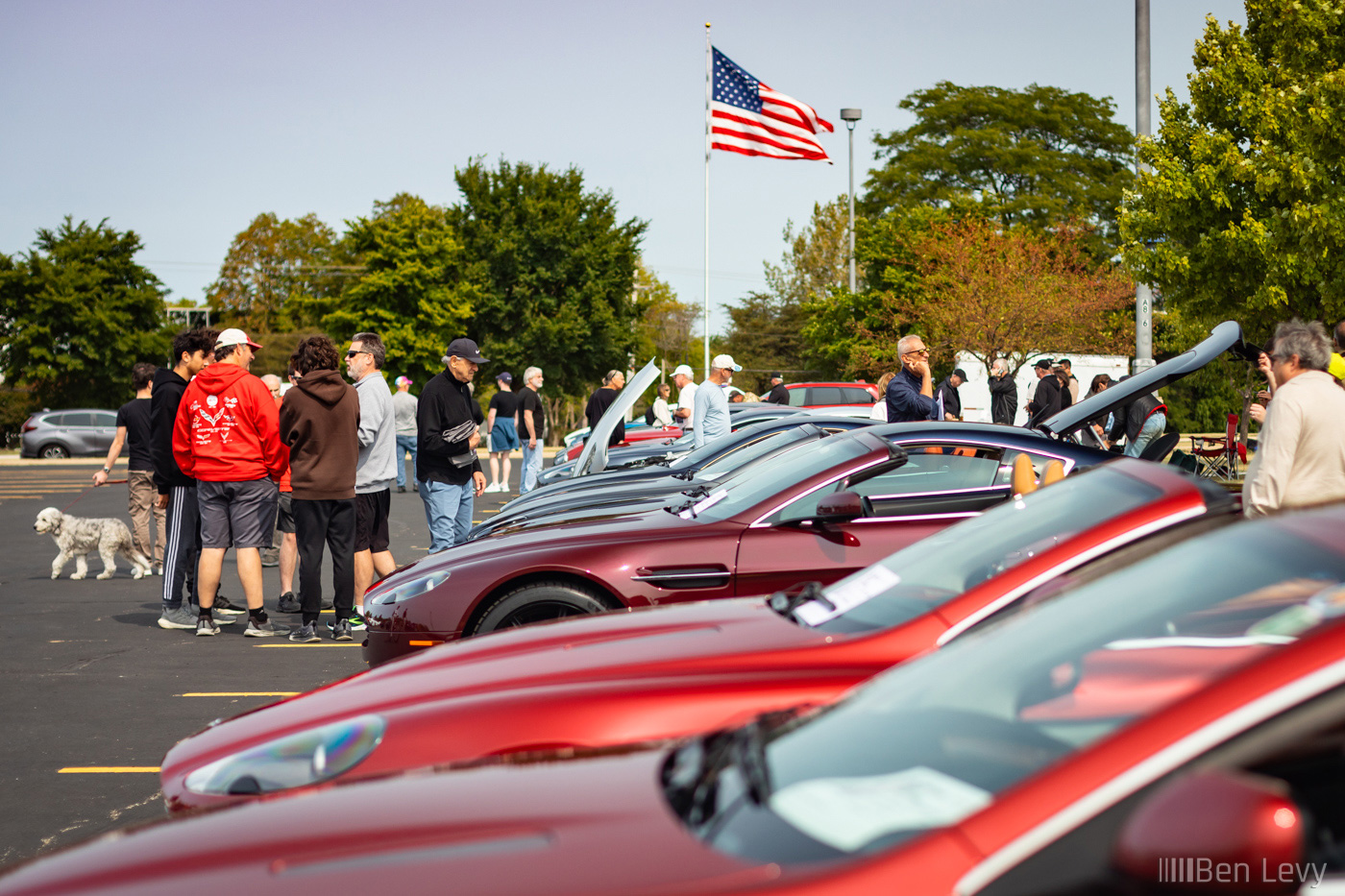 British Car Festival 2024 - BenLevy.com