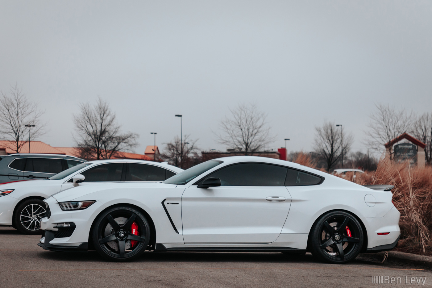 Joe Piazza Memorial Meet: February 3, 2024 - BenLevy.com